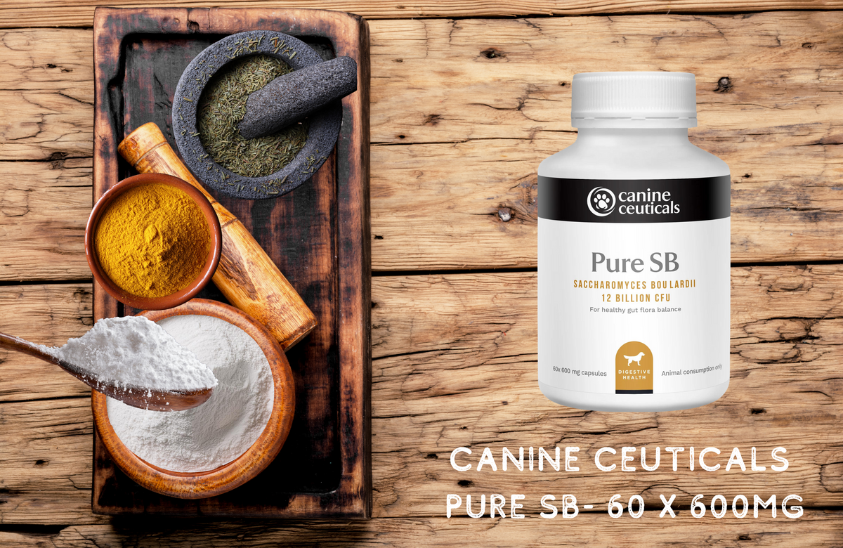 Canine Ceuticals Collagen Forte Dog Supplement Sunshine Coast – Inner Wolf