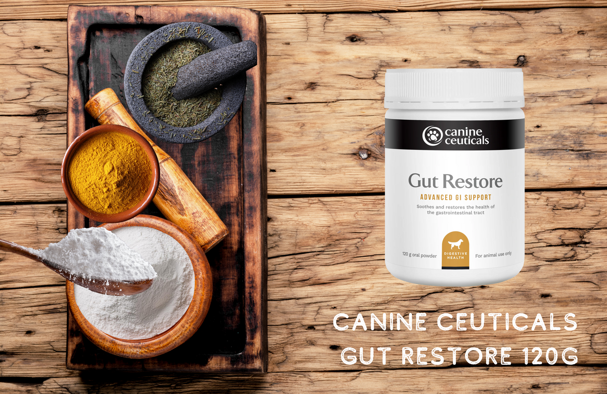 Canine Ceuticals Gut Restore Dog Supplement Sunshine Coast – Inner Wolf