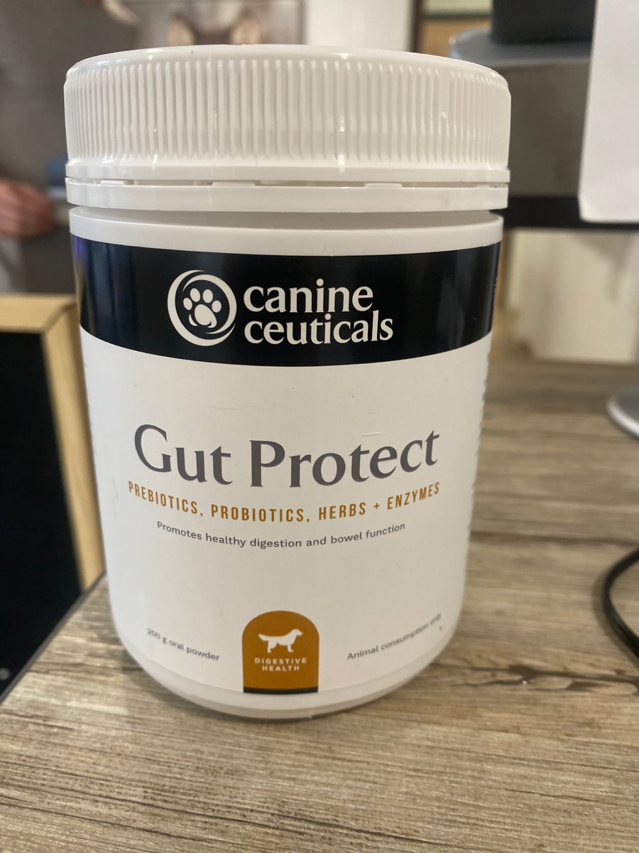 Canine Ceuticals Gut Protect Dog Supplement Sunshine Coast – Inner Wolf